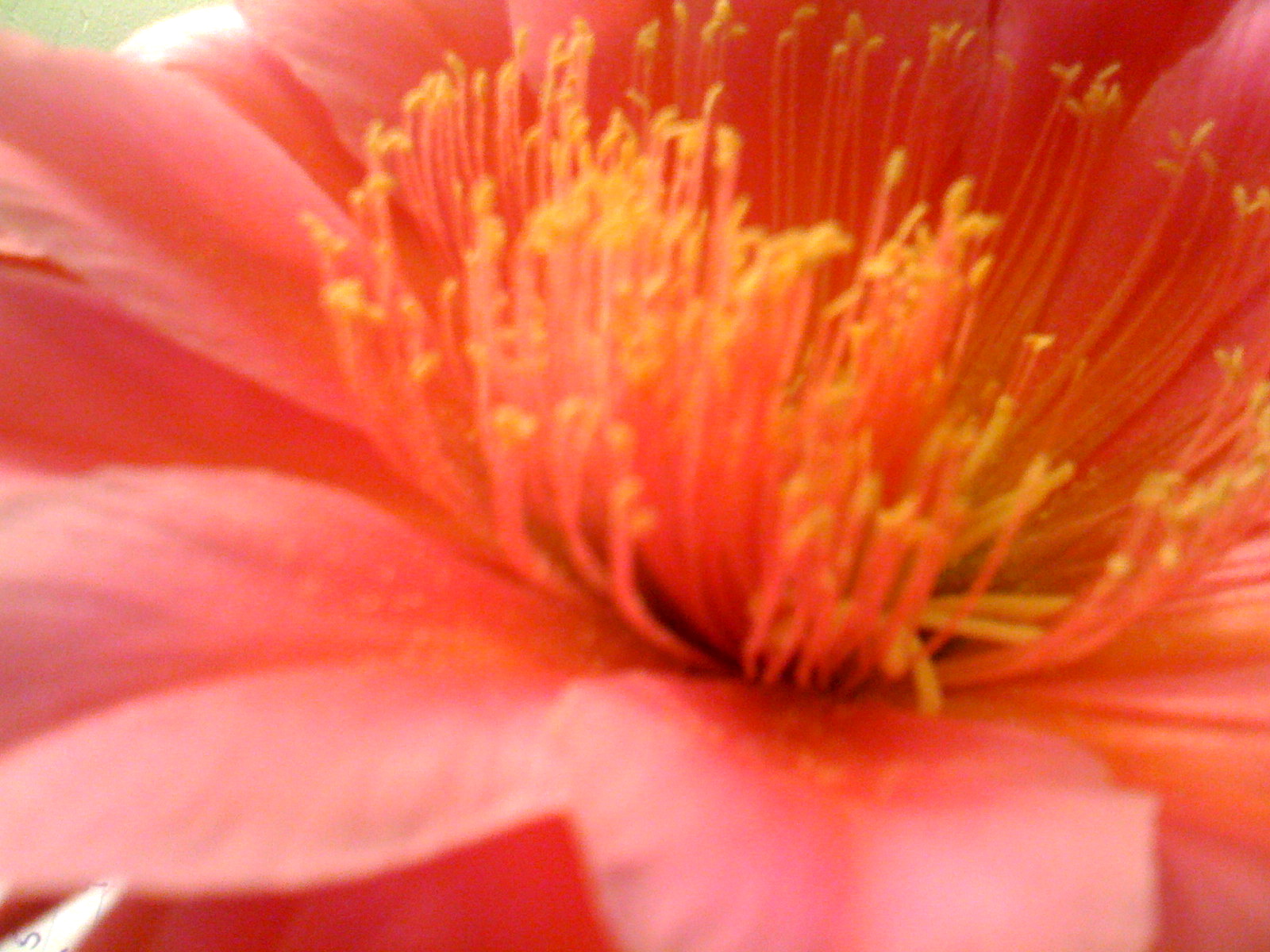 Sending Love on This Day of 9/11 – unabashedly female