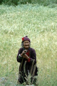 Flowering Darkness – unabashedly female