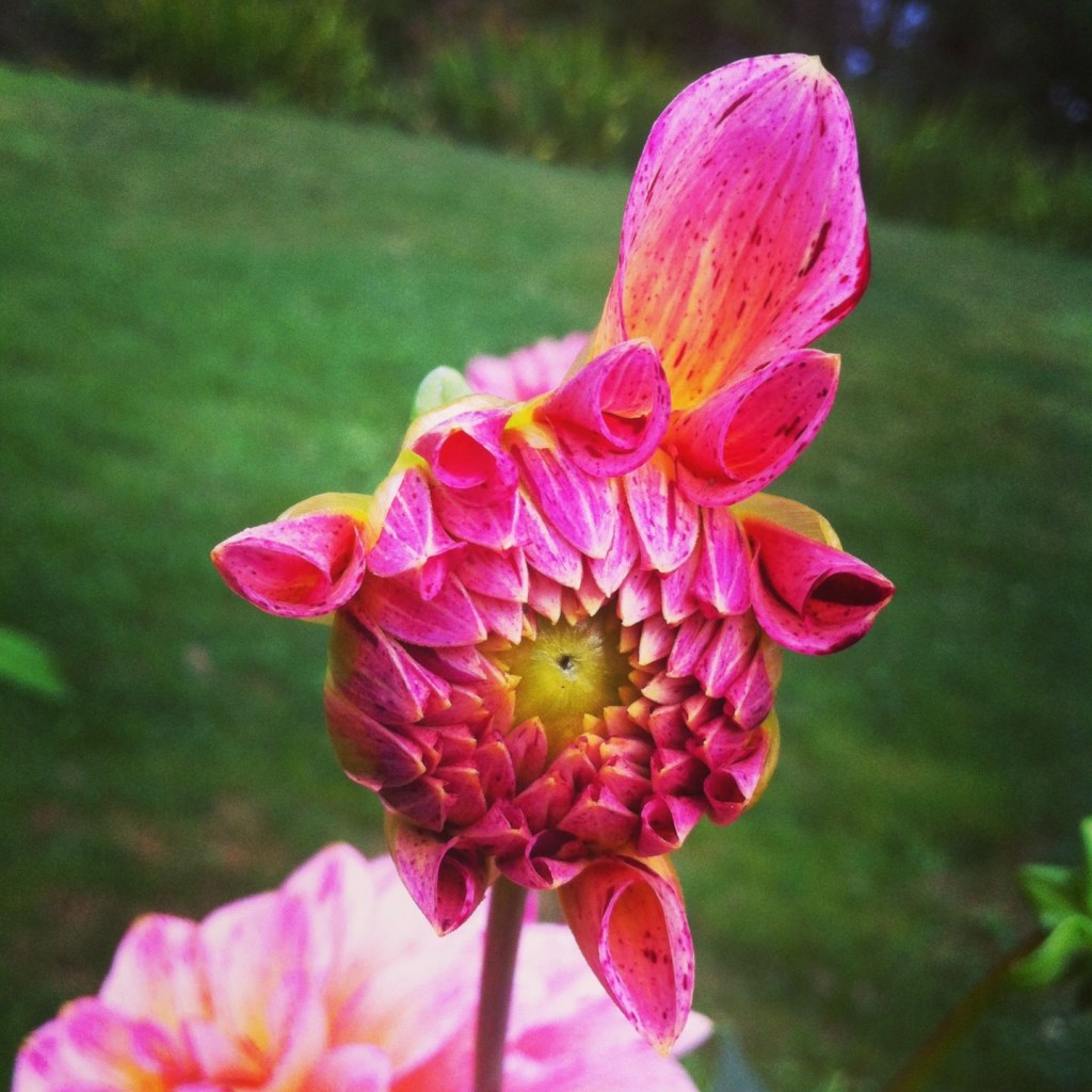 Drawing Close to Soul – unabashedly female